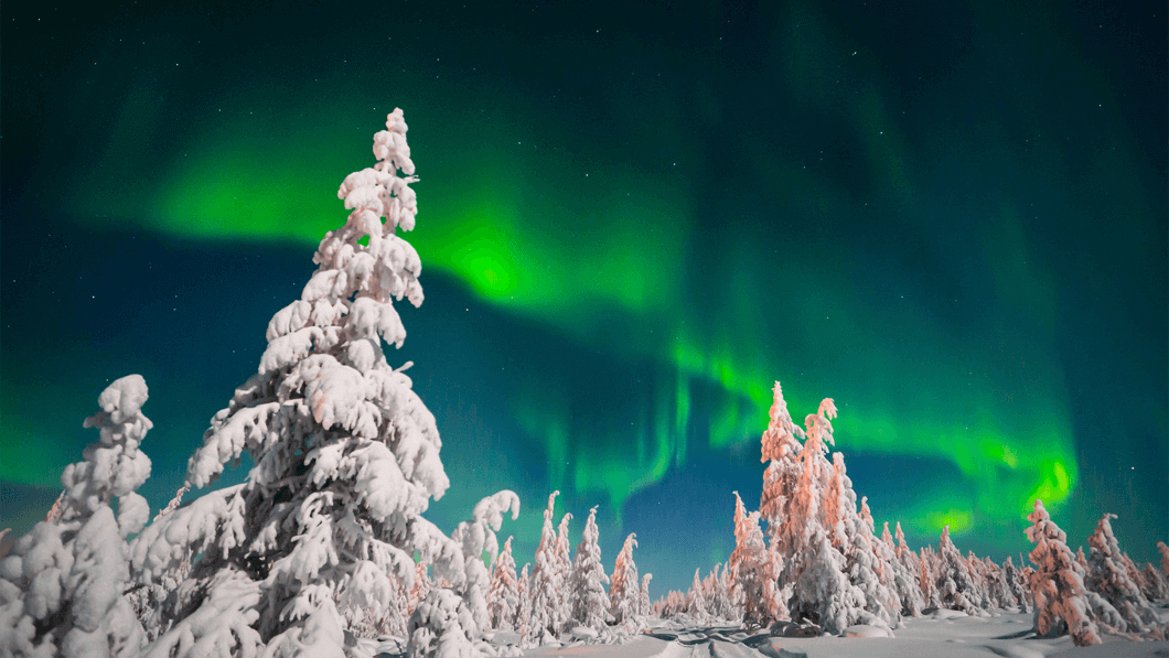 Dog Sledding Adventure Holidays Finland Norway Sweden | Off The Map Travel