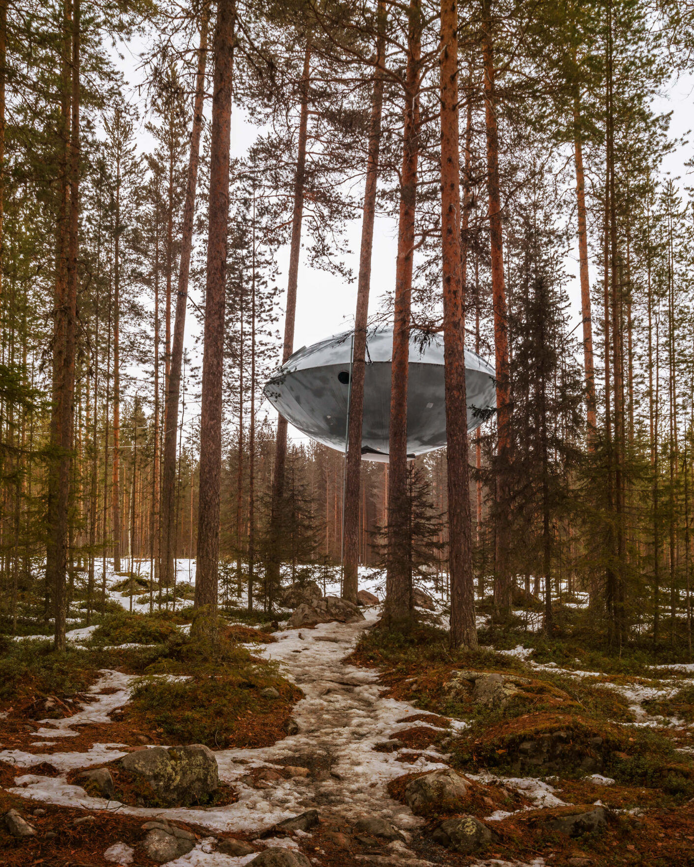 Treehotel in Sweden | The Famous Tree Hotel | Off the Map Travel