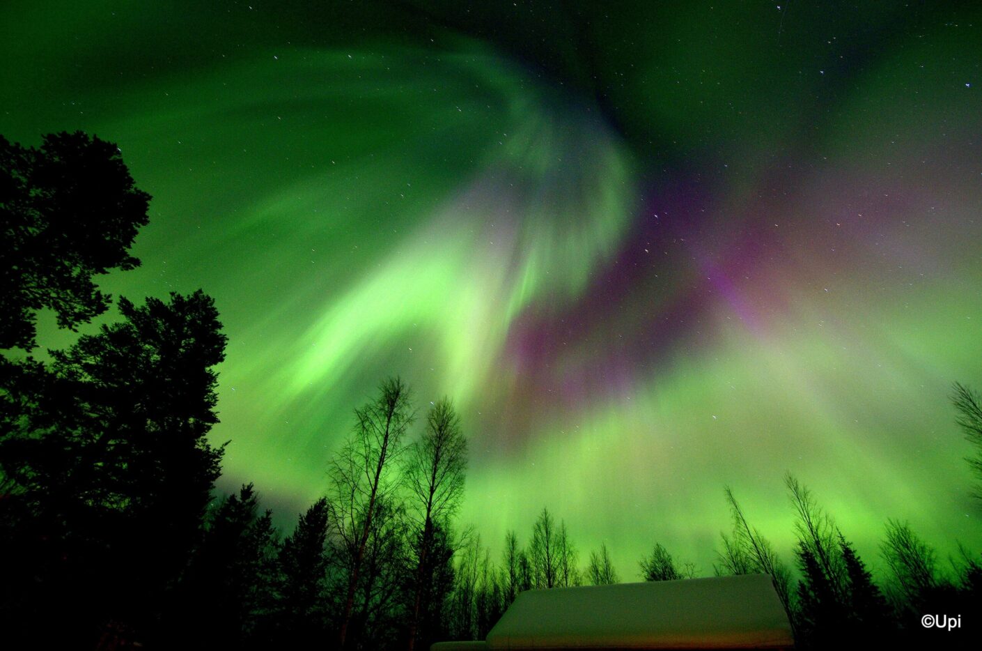 The Northern Lights Explained A Detailed Guide to Aurora Types and ...